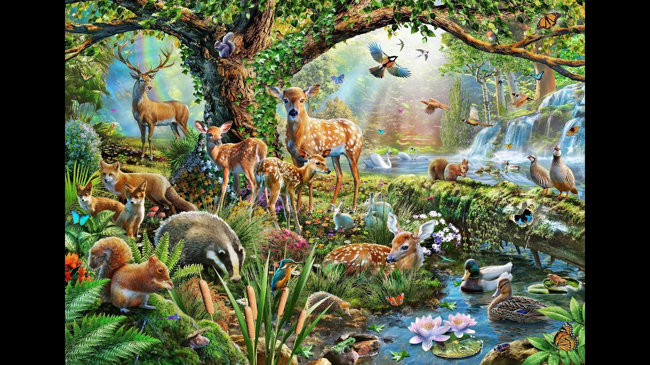 Woodland Animals sound like Woodwinds (Valentine's Day special) - YouTube