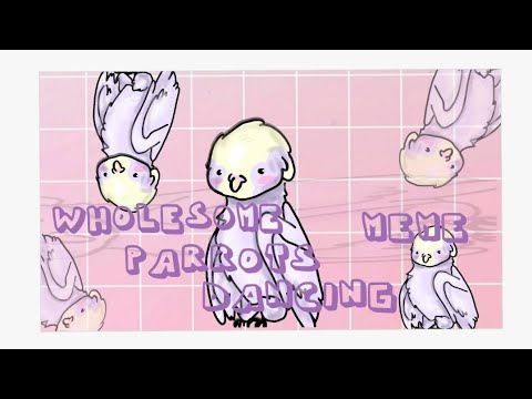 wholesome parrots dancing • meme - YouTube