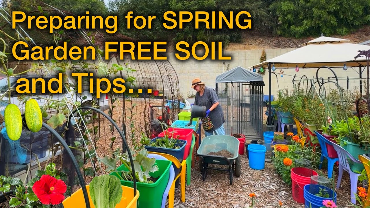 How to Container Garden NOW for Free Soil in Spring and Make Gardening Easy & Vegetable Growing ...