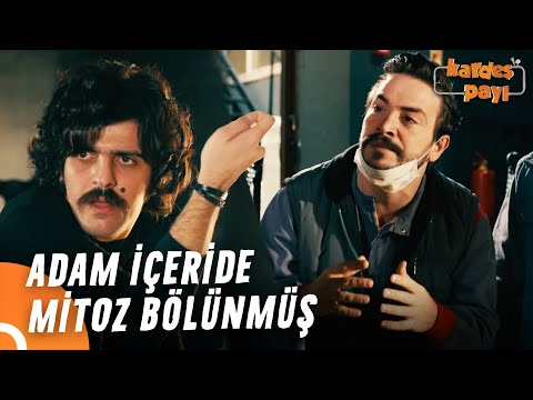 Şakayı Kaka Yapmak Mecazını Ete Kemiğe Bürümüş P*zevenk  | Kardeş Payı