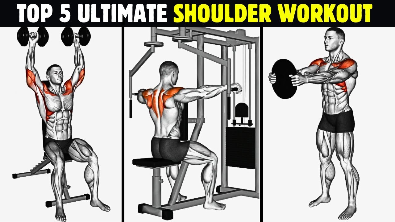 Top 5 Shoulder Workouts for Massive Gains | Ultimate Shoulder Workout ...