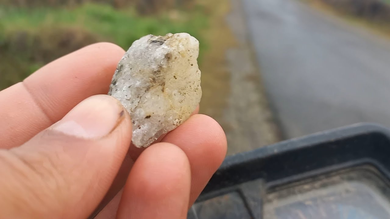 Hidden Fossil Found – This Changes History!" - YouTube