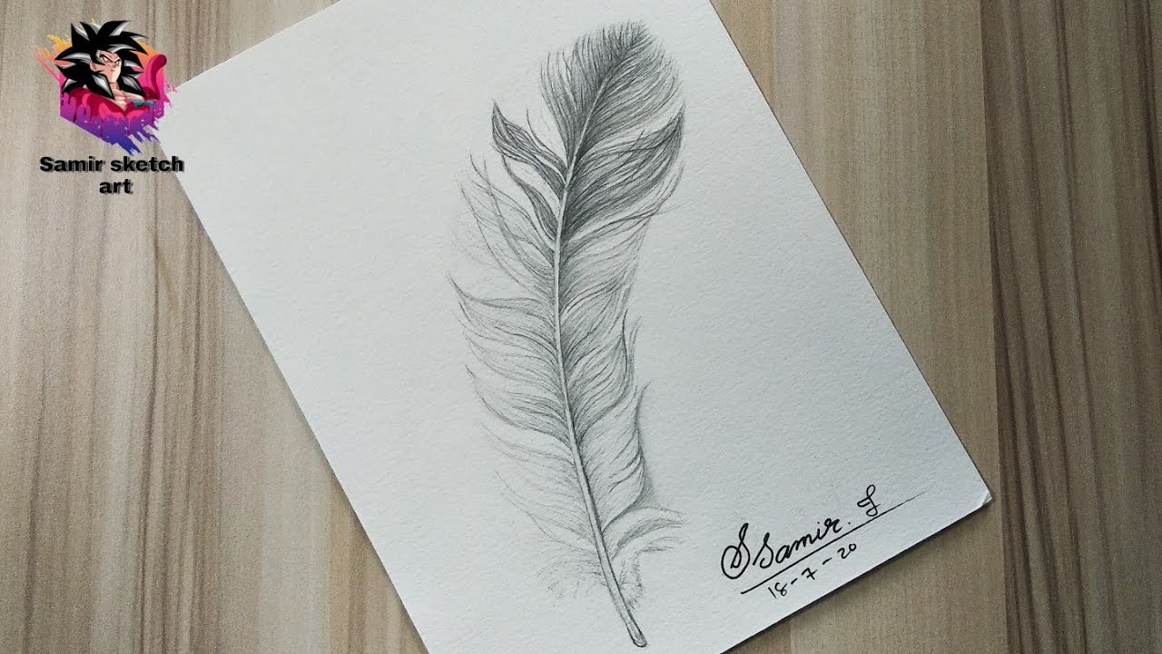 How to Draw a beautiful Feather with pencil || Bird feather sketch ...