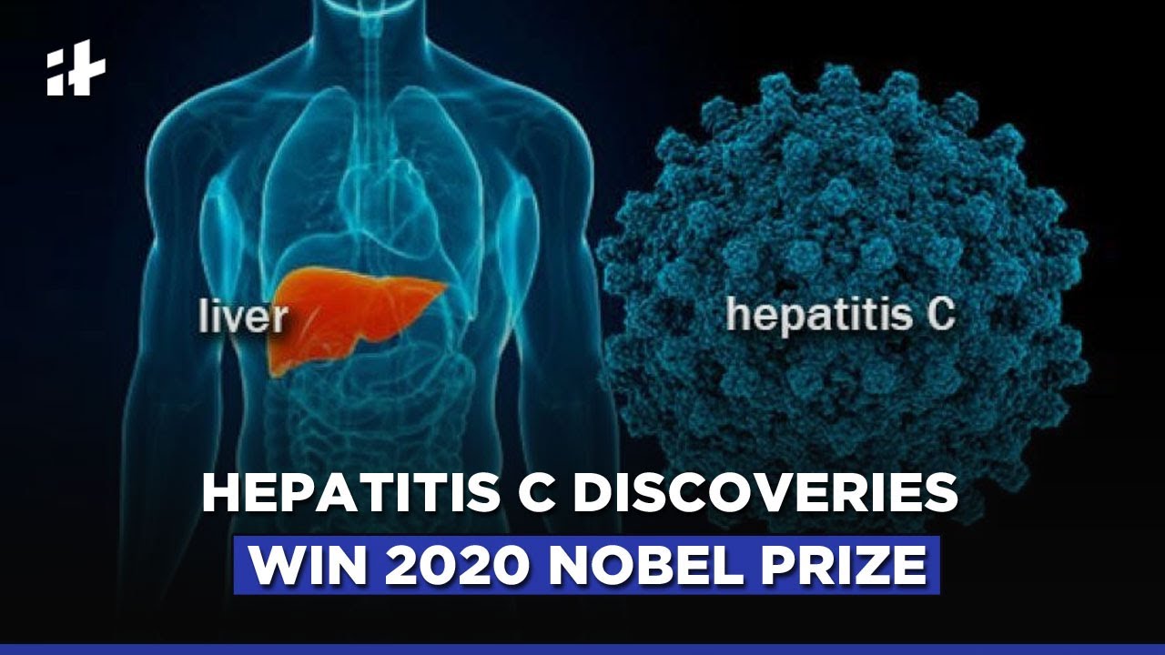 Hepatitis C Discoveries Win 2020 Nobel Prize In Physiology Or Medicine ...