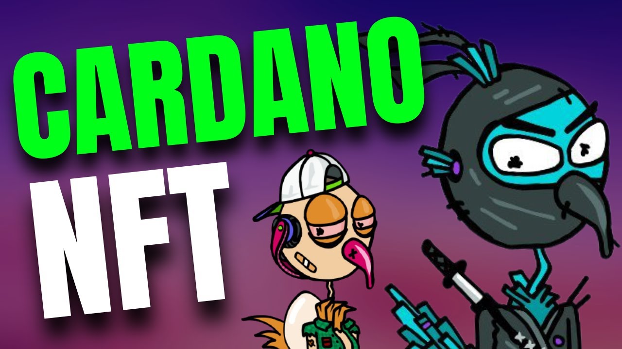 CNFT Spotlight: Derp Birds 🦤 - YouTube