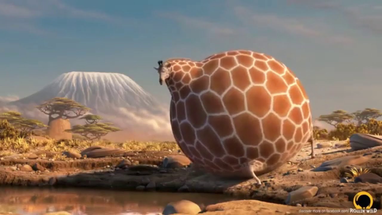 FAT ANIMATIONS - YouTube