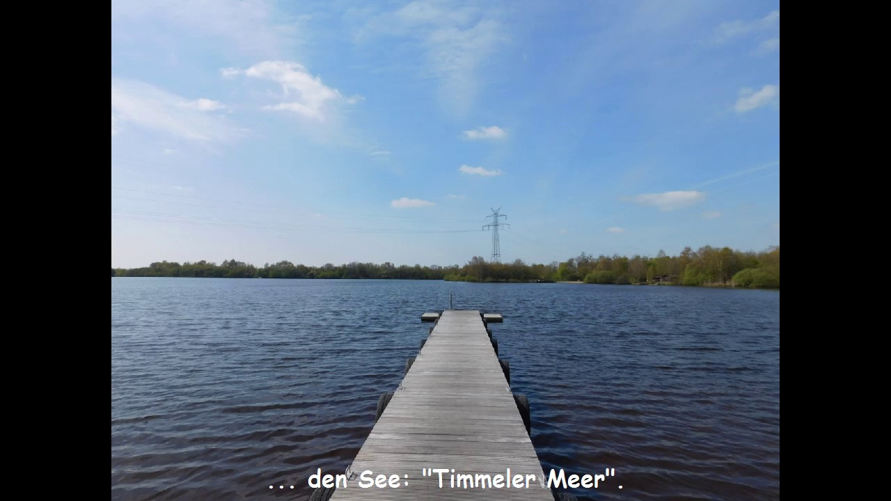 Timmel & Timmeler Meer - YouTube