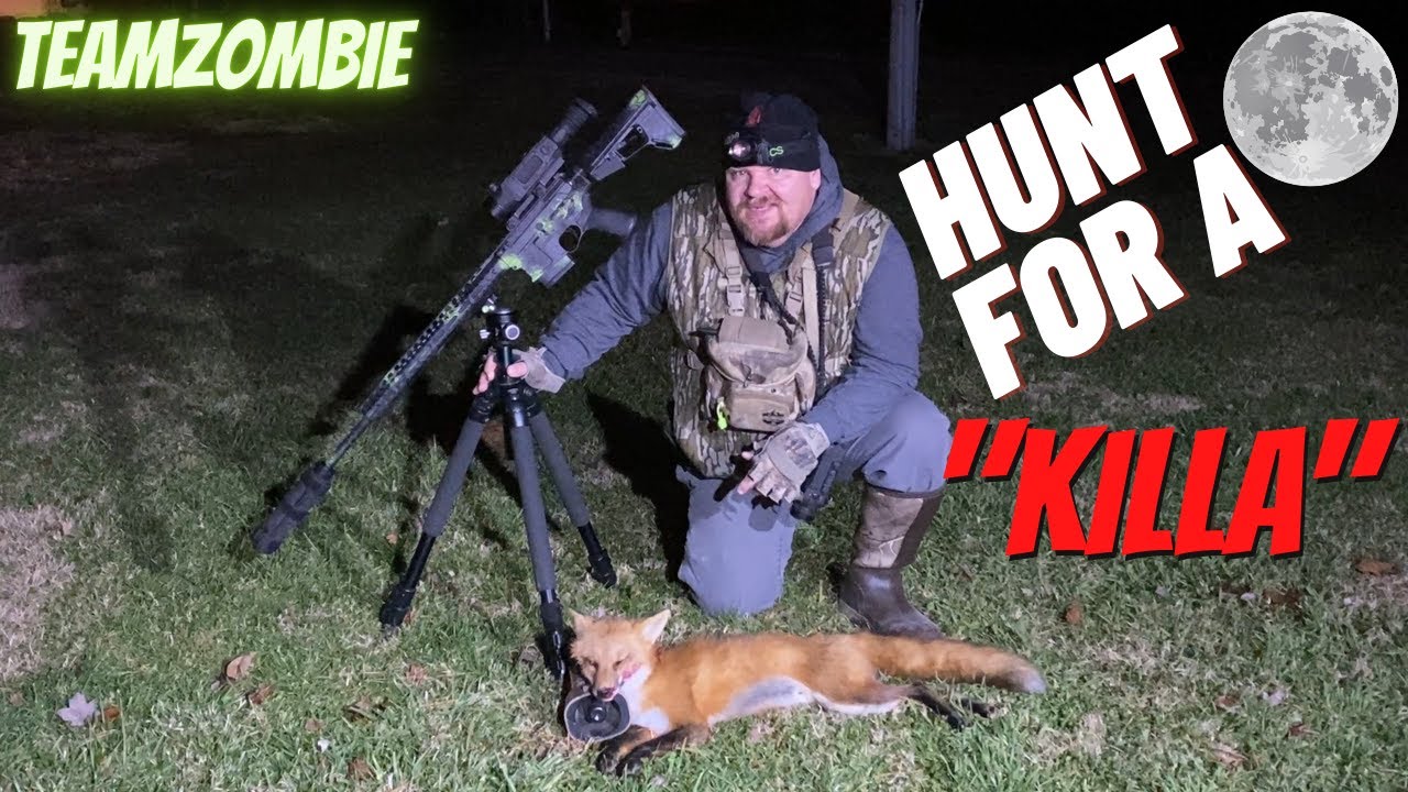 How i predator hunt at night during bright moon - YouTube