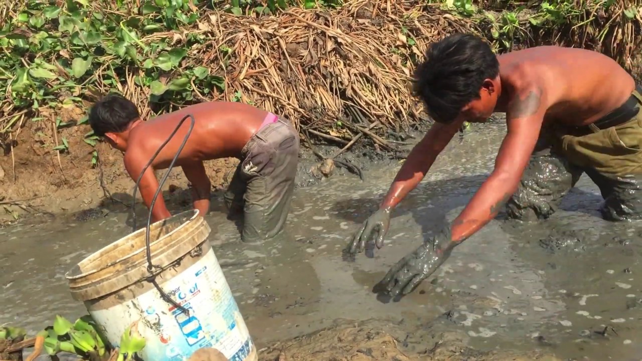 Underwater Fishing 2020 - Catch Lot Of Fishes From Muddy Soil At Canal ...