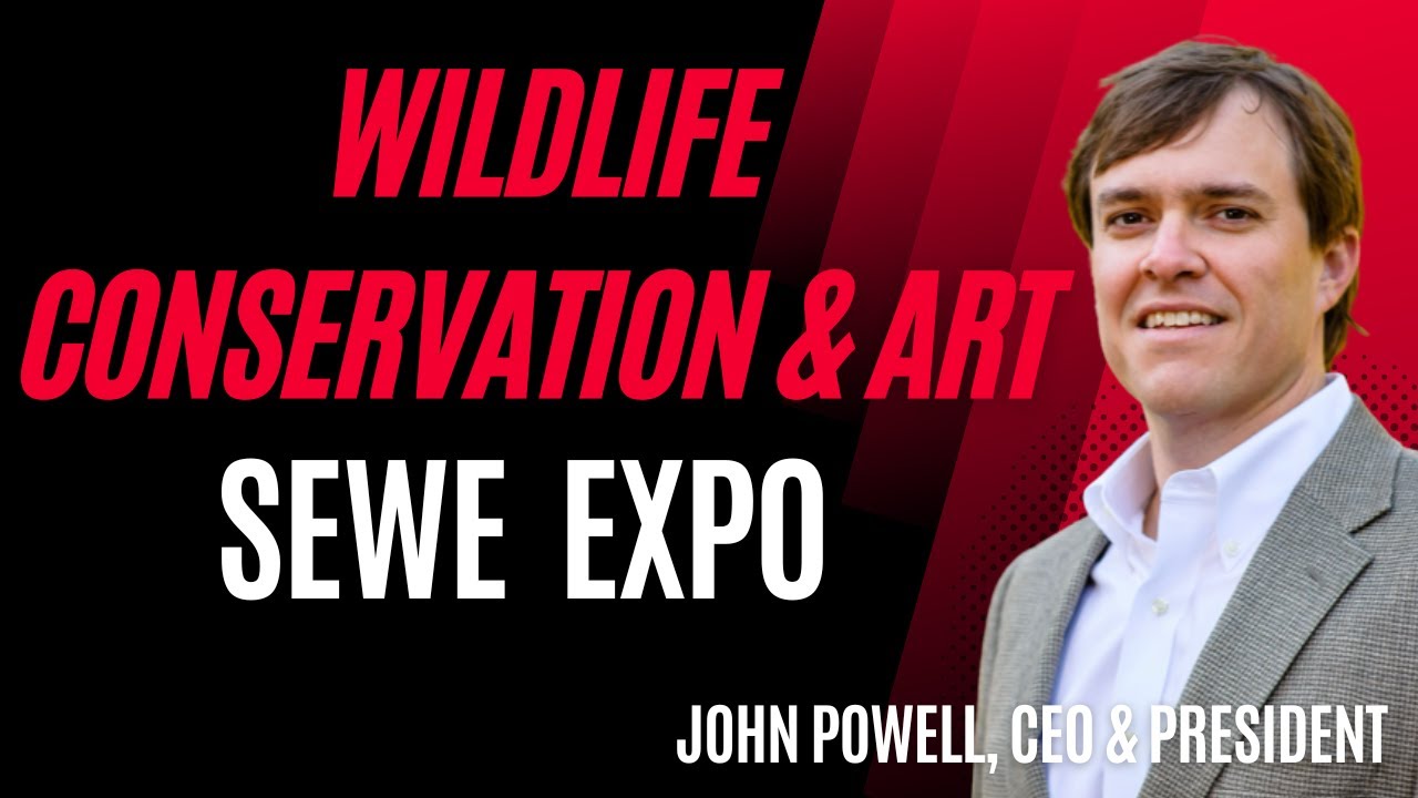 Wildlife Conservation & Art: 2023 Southeastern Wildlife (SEWE) Expo in ...