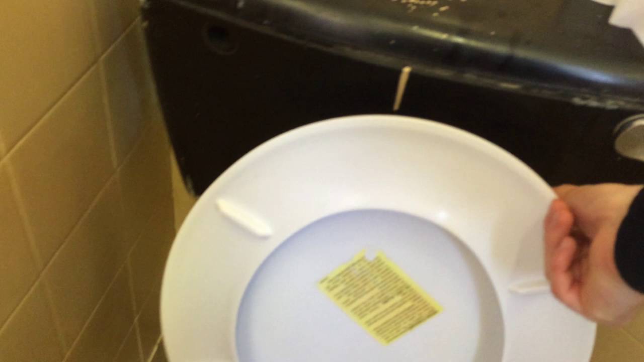 Rothesay Library toilets LL Shires Lynx - YouTube