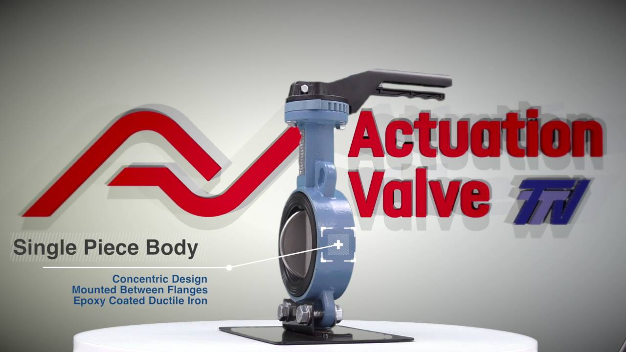 20W3040E TTV General Purpose Wafer Butterfly Valves - YouTube