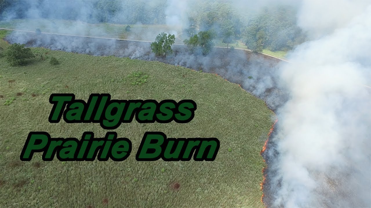 Tallgrass Prairie Burn, 100 Degrees - YouTube
