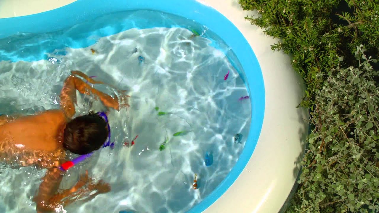 #31314 ROBO FISH by Splash-Toys - YouTube