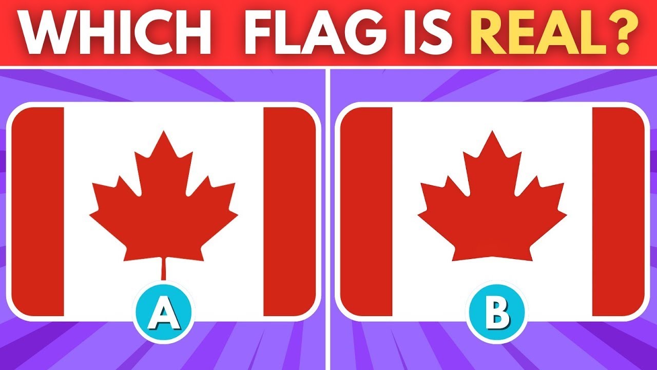 Guess The Correct Flag | Can You Guess The REAL Flag? | Country Flags ...