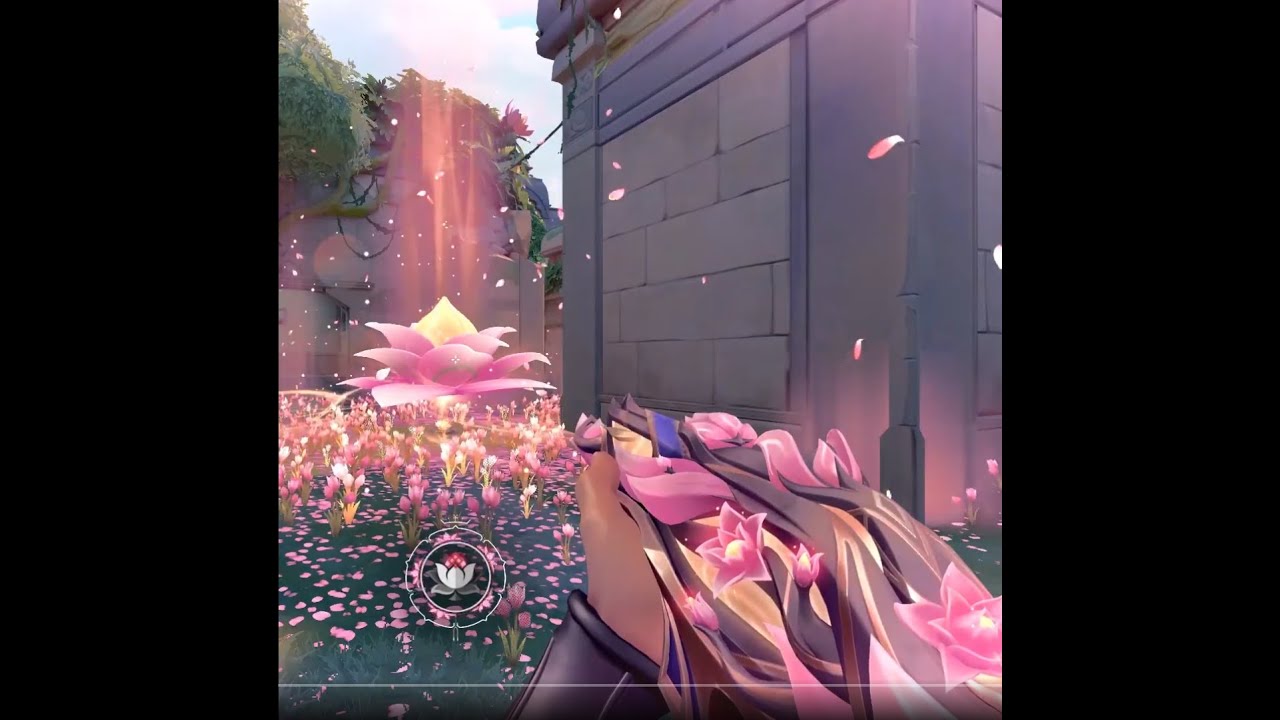 NEW SKIN BUNDLE VALORANT "MYSTBLOOM" - YouTube