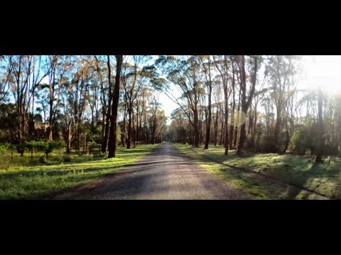 Lysterfield Park 5km Trail Walk [Quick 10min Overview] 4K - YouTube