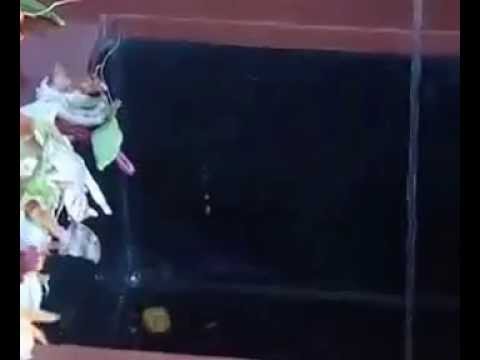 G 1000 Garbodrain FOOD WASTE DISPOSER - YouTube