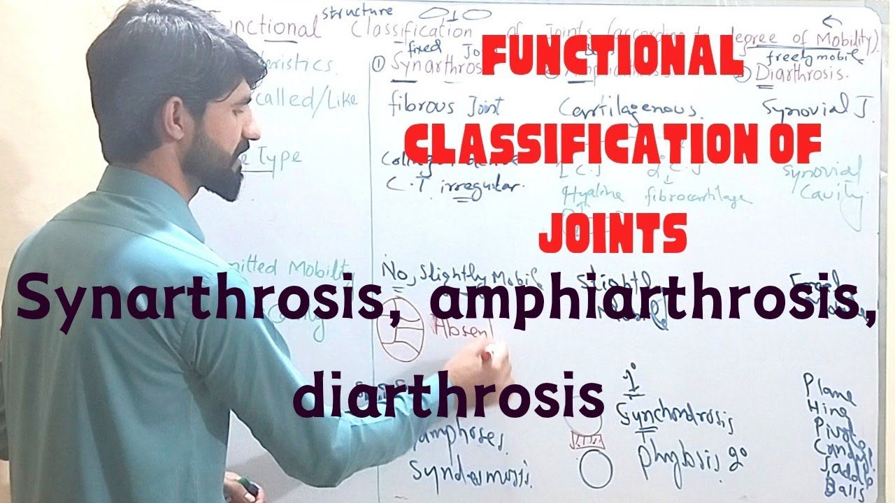 classification of joints on the basis of degree of mobility - YouTube