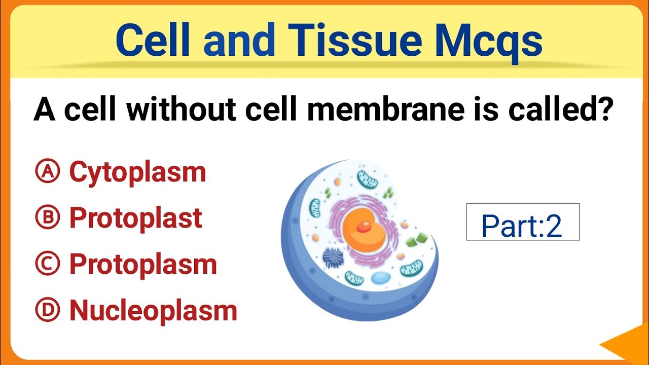 cell and tissue Mcqs | Tissue mcq | cell biology mcq | cell mcq - YouTube