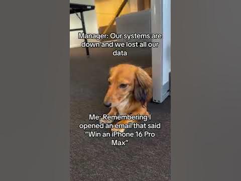 #TechMemes #ProgrammingMemes #CoderLife #DevHumor #TechComedy #Debugging #SoftwareEngineer # ...