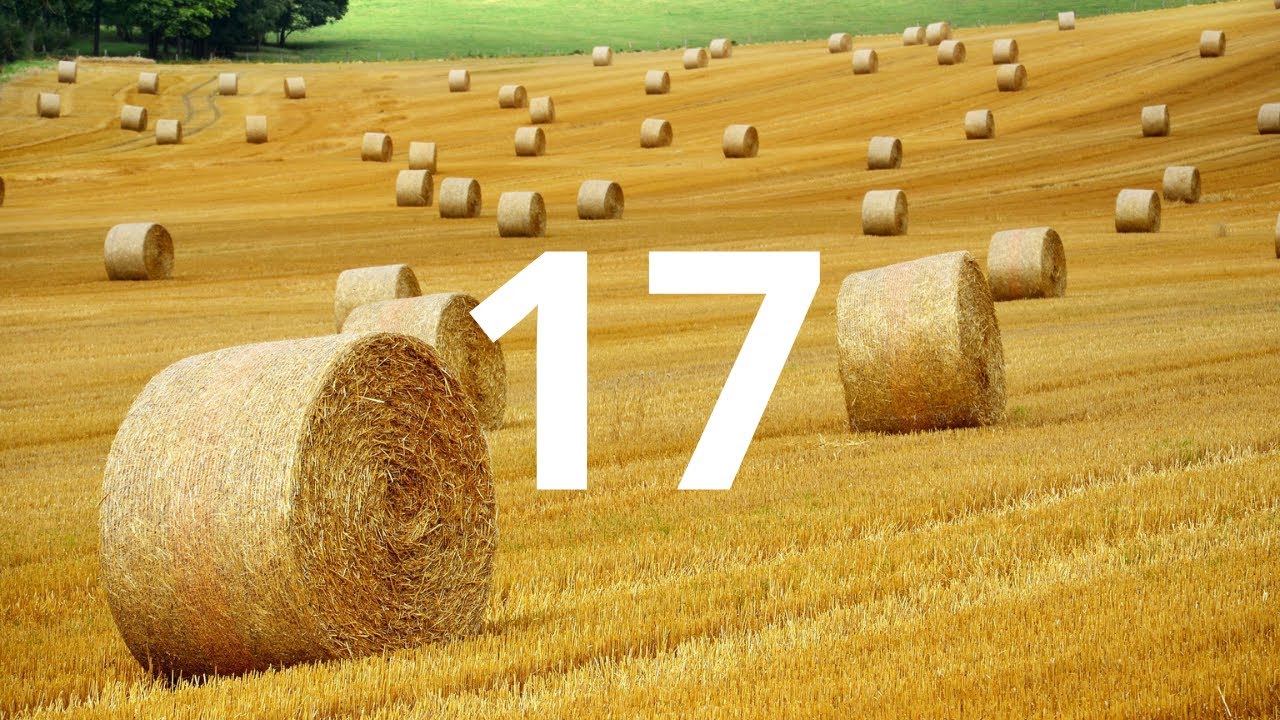 17 Second Countdown Timer With Alarm Sound At the End(Simple Beep) - YouTube