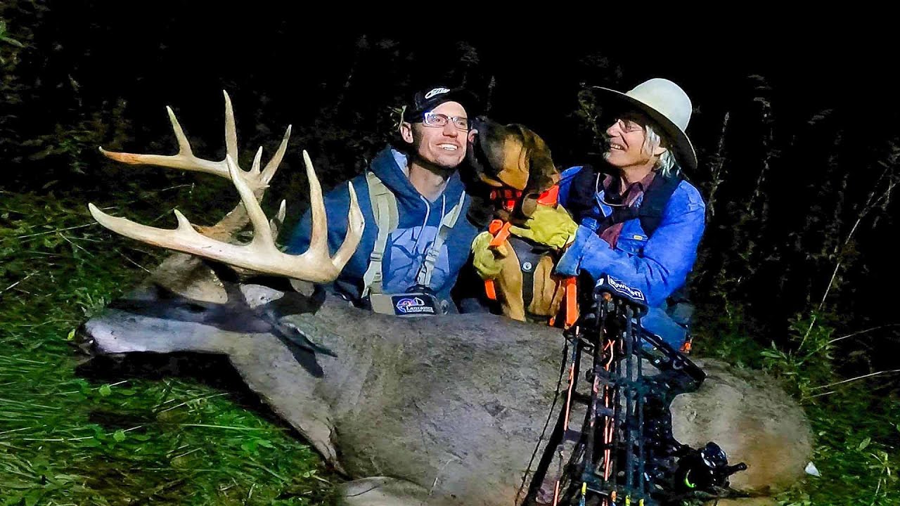 Blood Tracking Deer With Dogs Pt. 1 - WHAT YOU NEED TO KNOW - YouTube