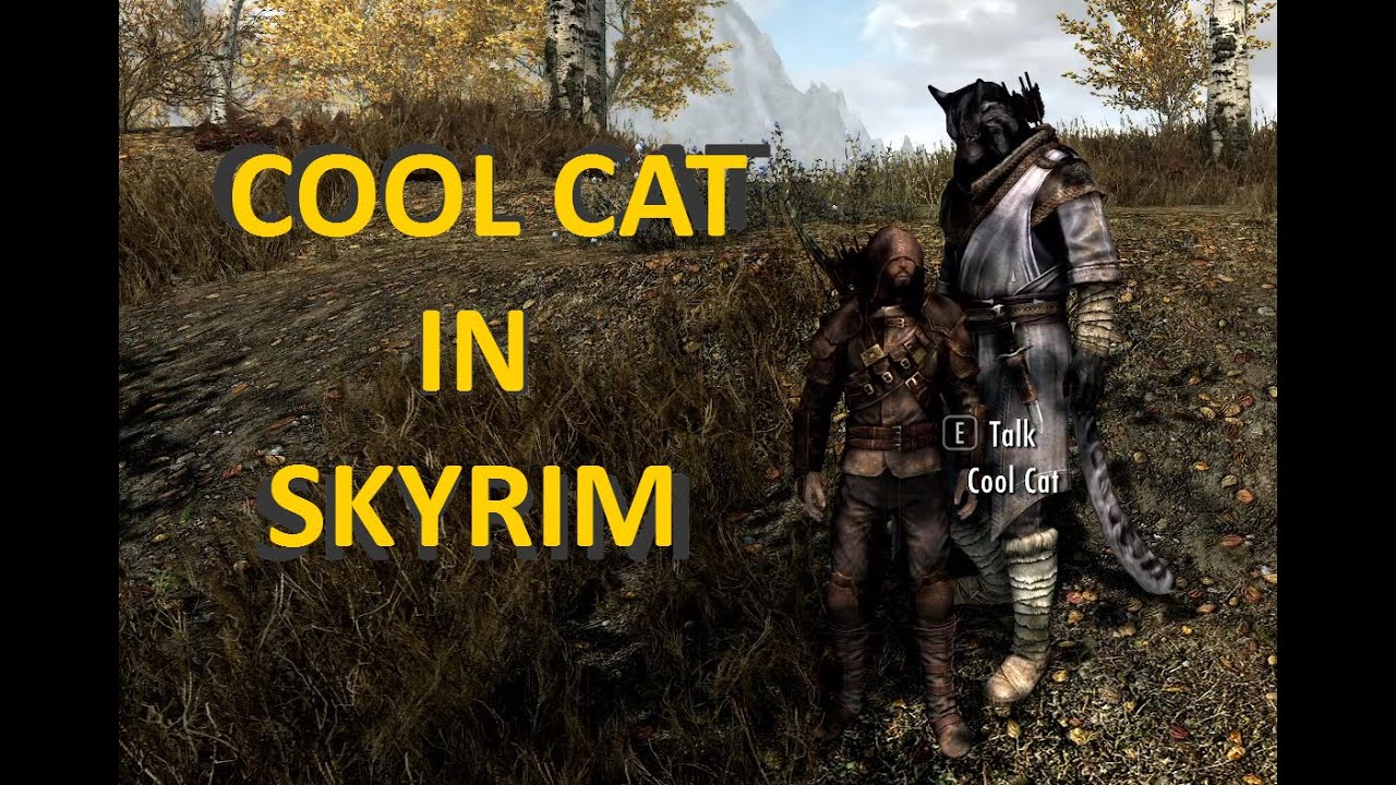 Comedy Bang Bang's Cool Cat in Skyrim (Voiced Follower Mod) - YouTube