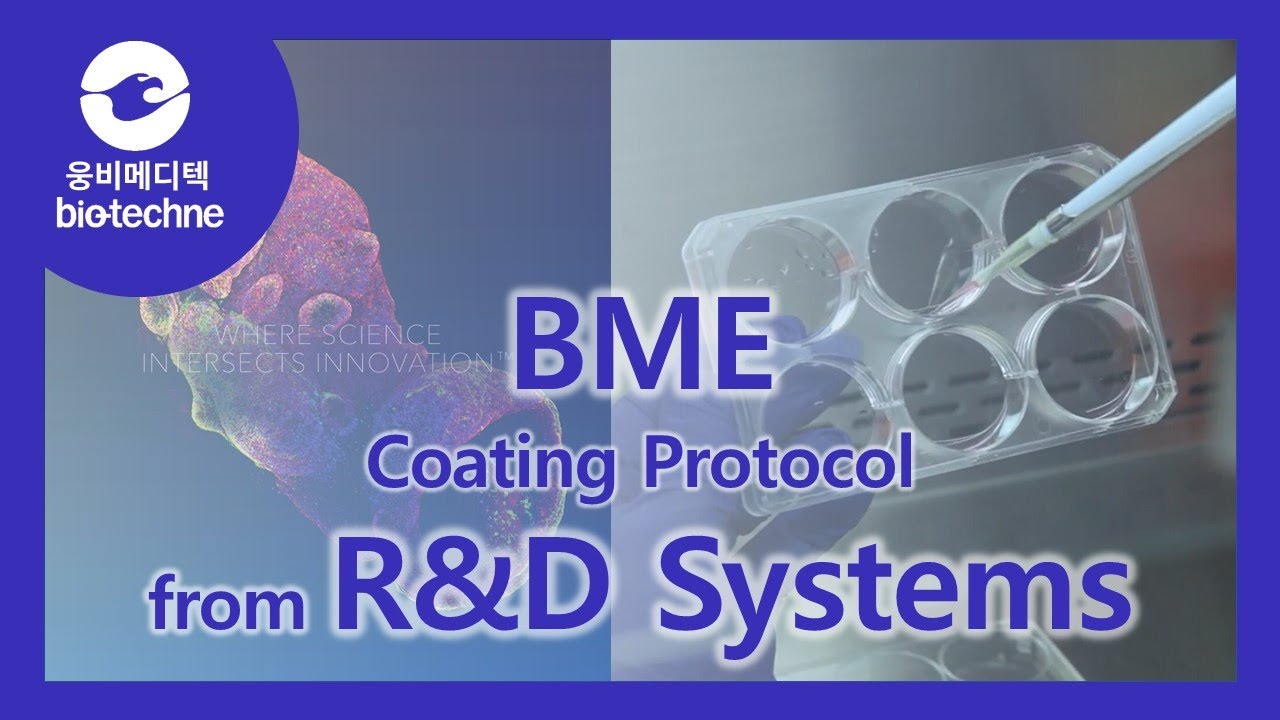 R&D Systems®: Cultrex BME Coating Protocol (공식대리점: 웅비메디텍) - YouTube