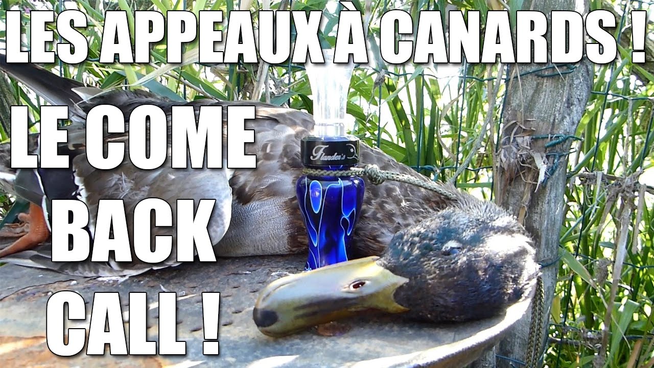 Les Appeaux à Canards (3/4) : Le Come Back Call ! - Marius Chasse - YouTube