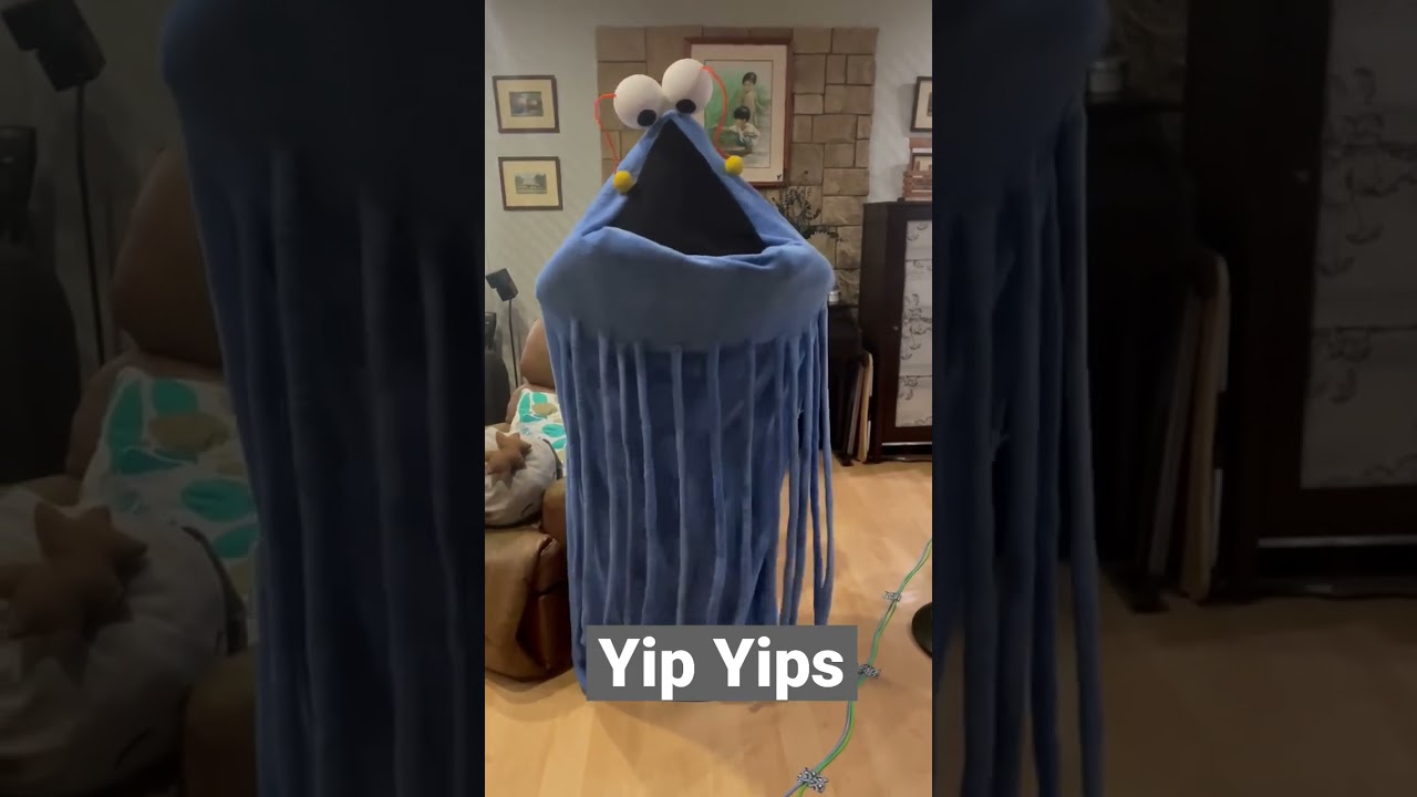 Sesame Street Yip Yips #sesamestreet #halloween #costume - YouTube