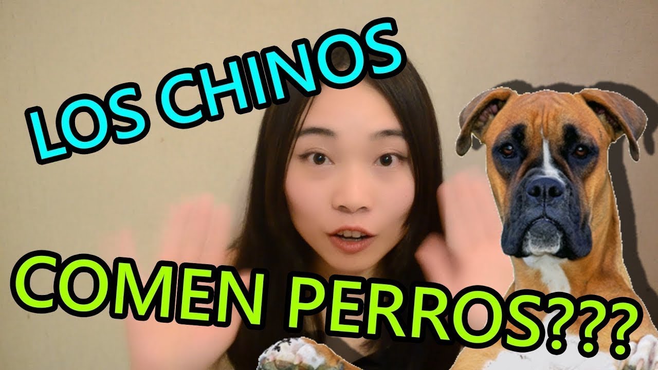 LOS CHINOS COMEN PERROS? - Tres PREGUNTAS que nos hacen A LOS CHINOS ⭐ ...
