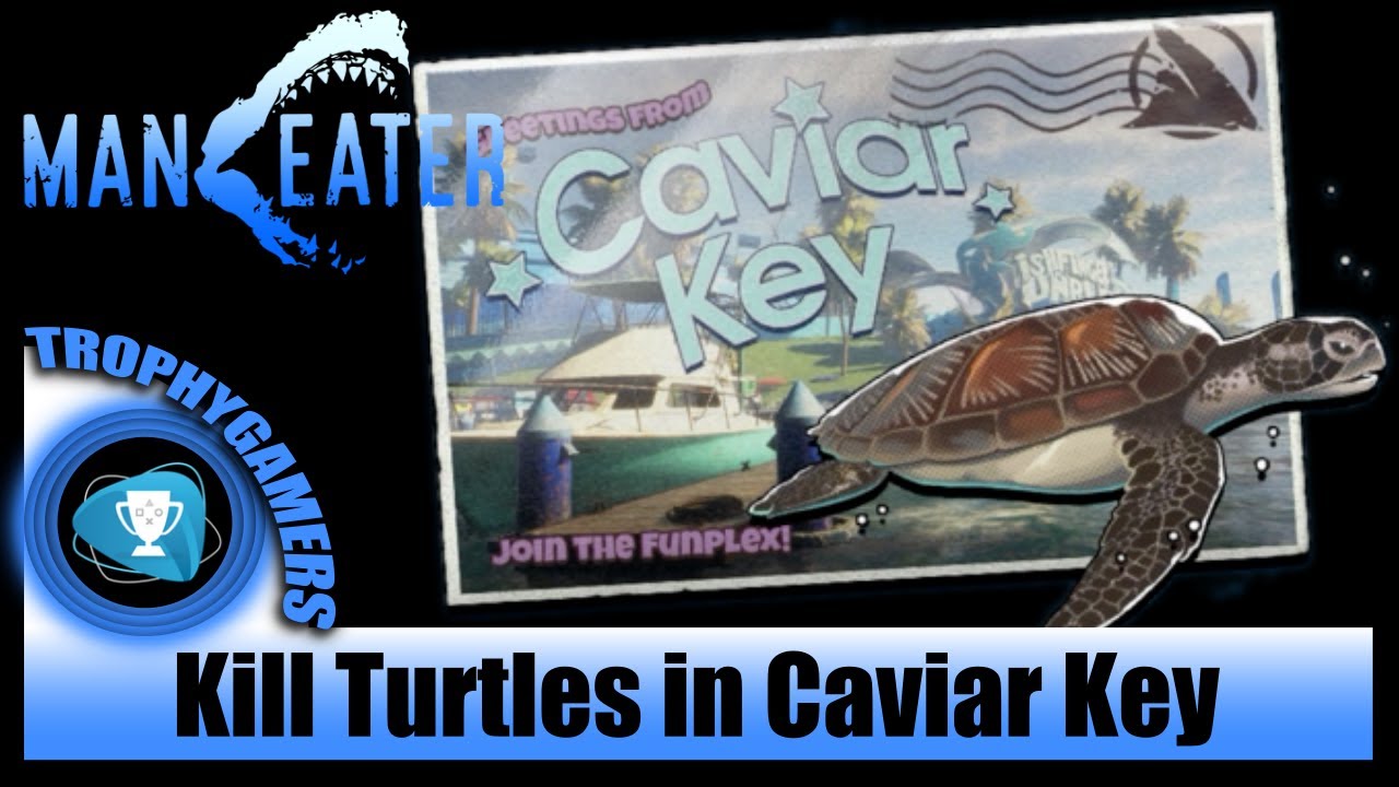 Maneater – Kill Turtles in Caviar Key for Population Control - YouTube