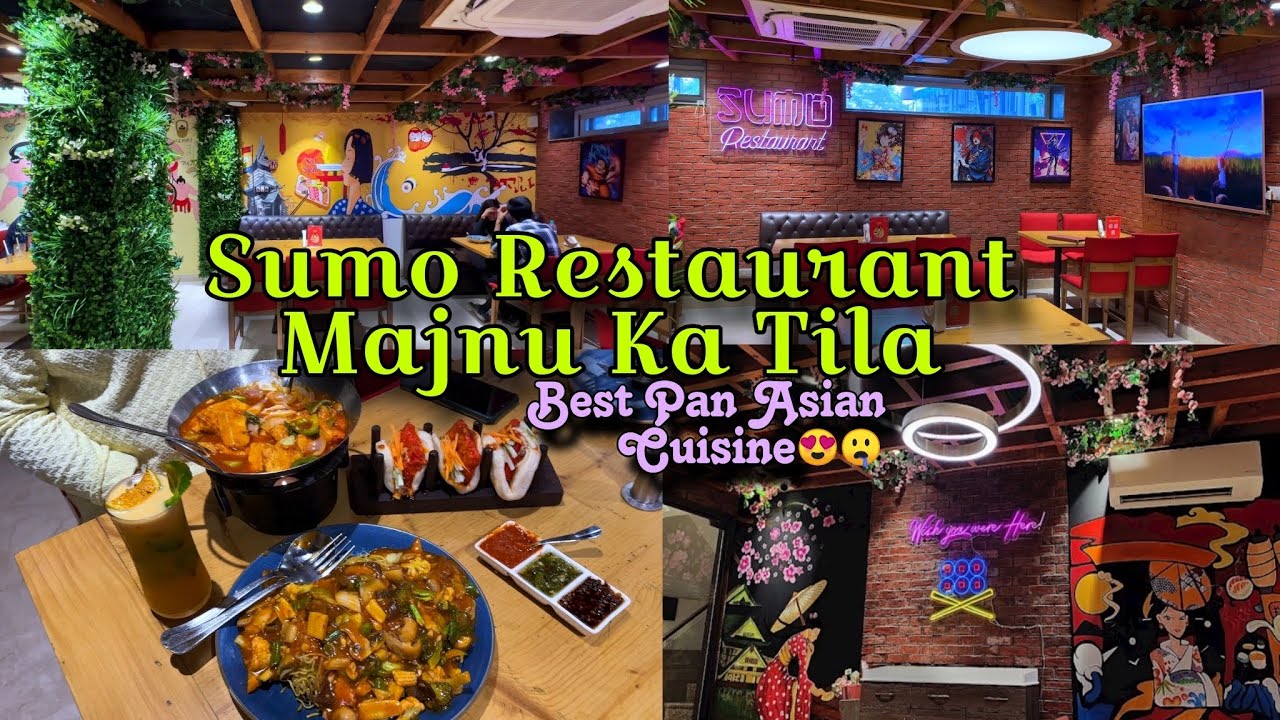 Sumo Restaurant Majnu Ka Tila Vlog | Best Pan Asian Restaurant Of Majnu ...