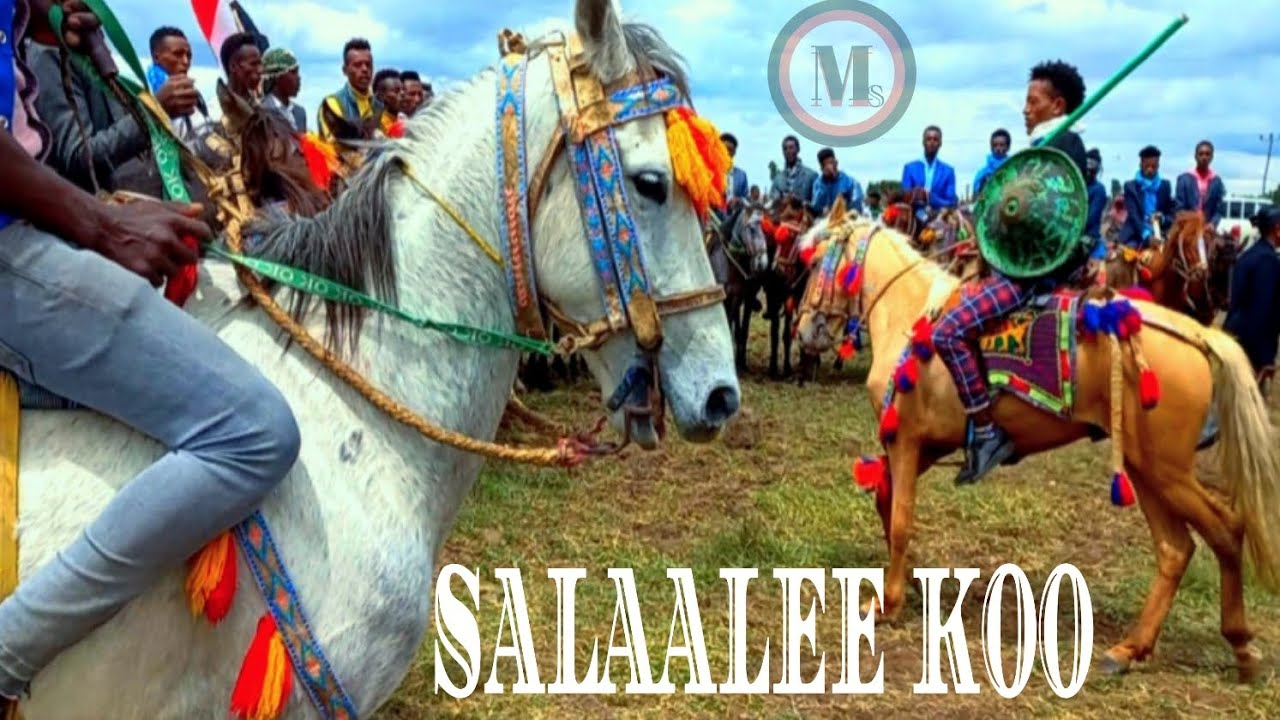 Salaalee koo - YouTube