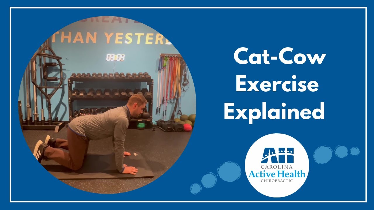 Cat-Cow Exercise Explained / Greenville, South Carolina Chiropractor ...