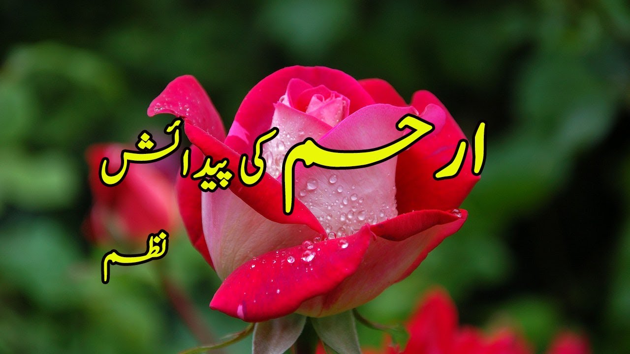 Poem for my Grandson || Arham Awan || Yaadon Ka Tarka - YouTube