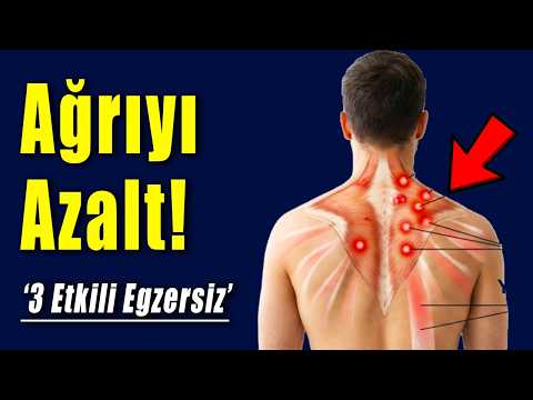 Ense ve Sırt Ağrısını Anında Rahatlatacak 3 Etkili Hareket #aktifizyo