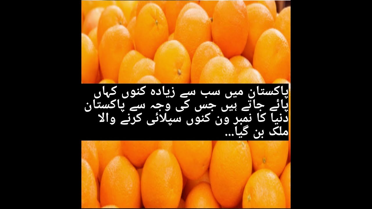 Pakistan, a big producer of Kennu(orange) - YouTube