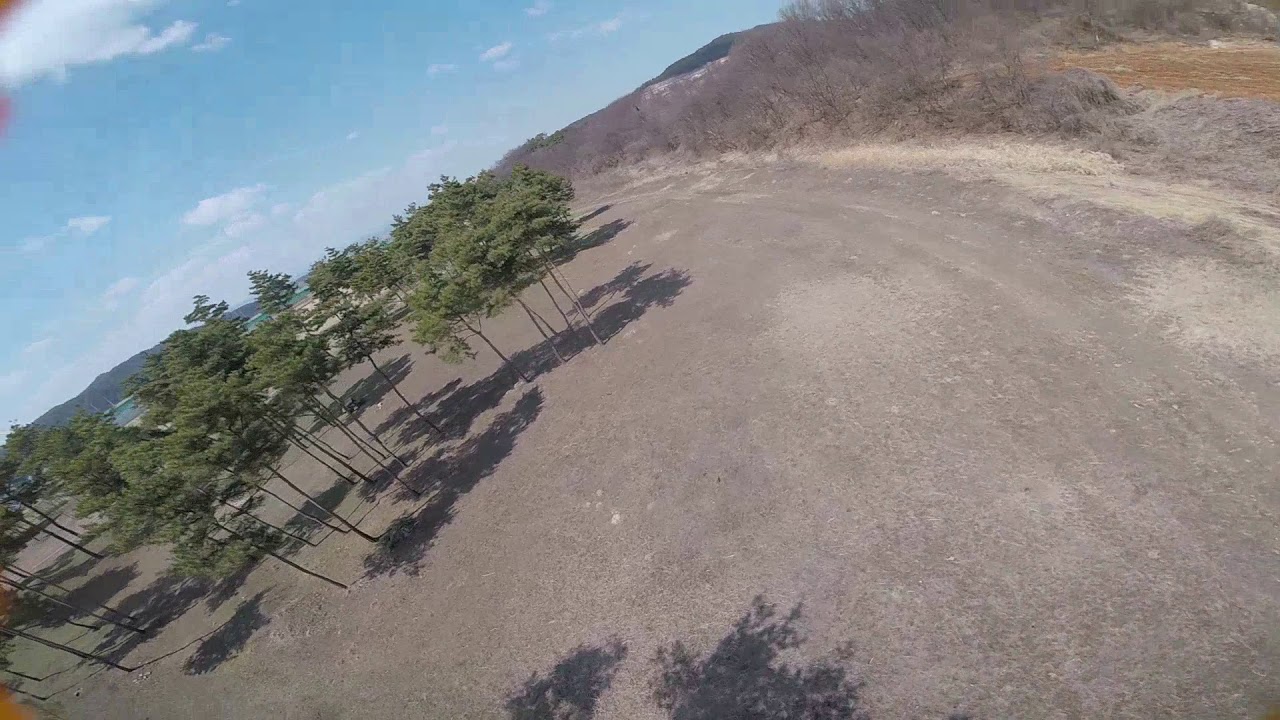 Jake FPV _ pine tree, Fine Tree - YouTube