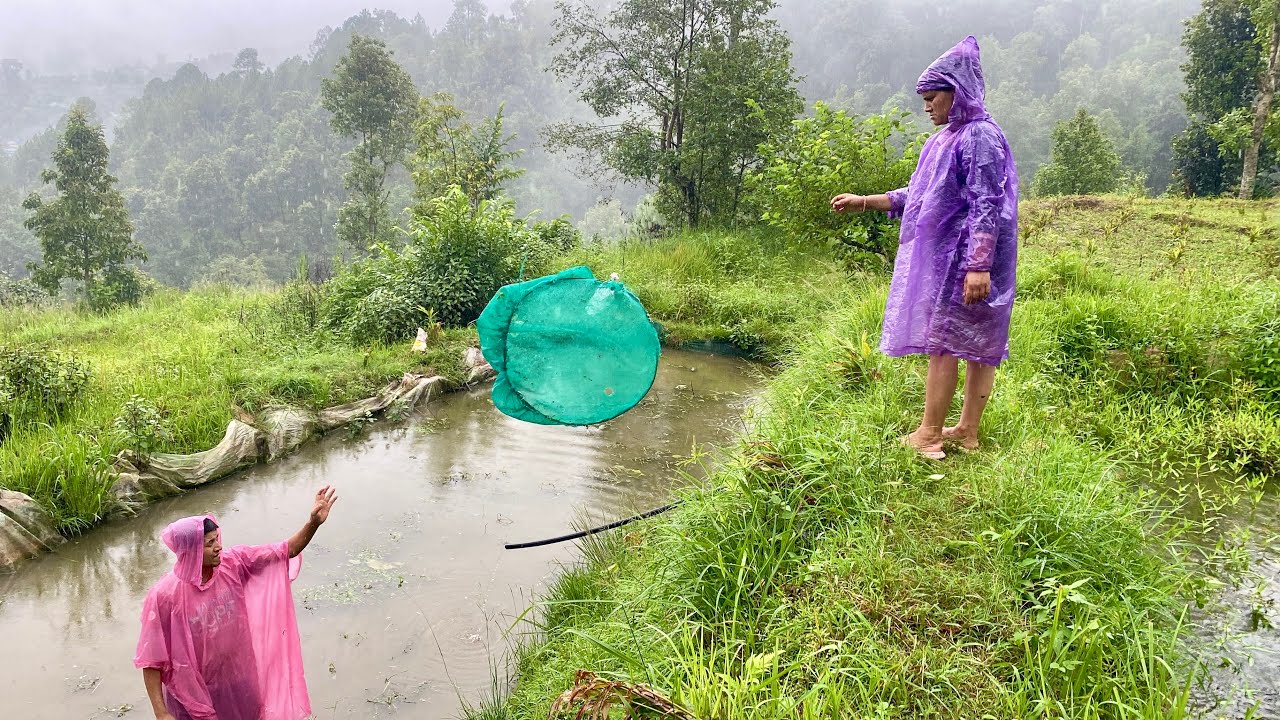 Traditional Fishing Techniques | Catching Fish the Traditional Way in a ...