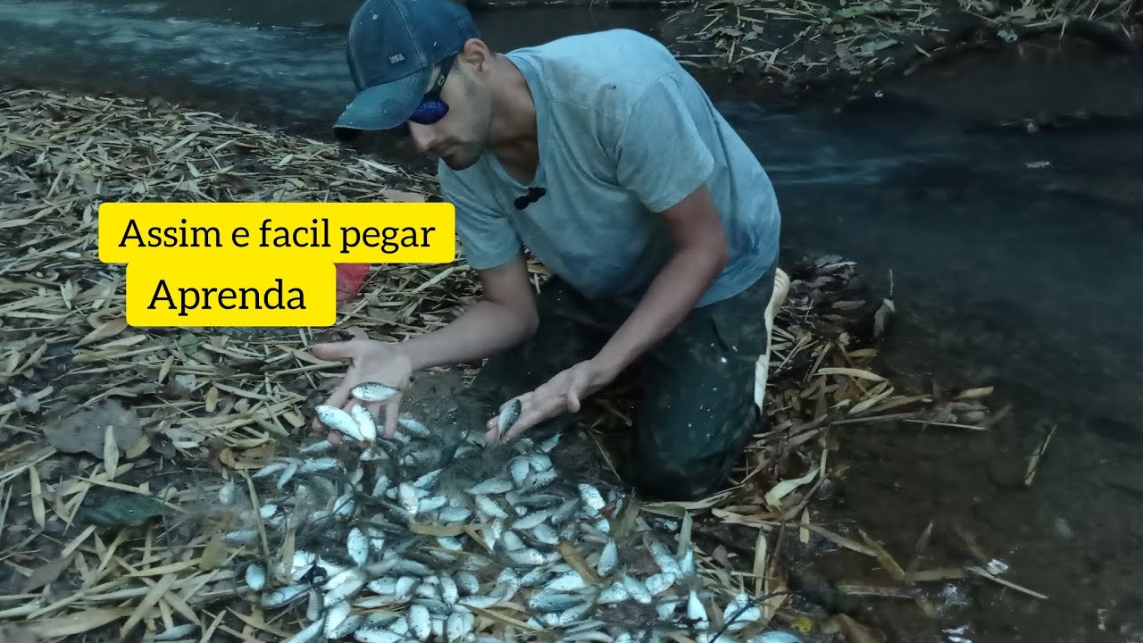 como pegar lambari fácil . - YouTube