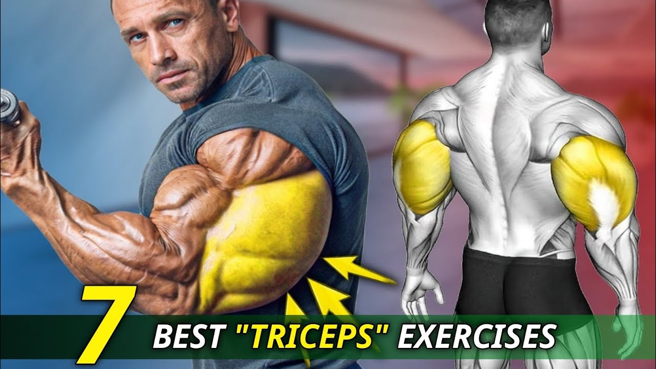 7 Best Exercises To Build Huge ARMS - Triceps Workout - YouTube