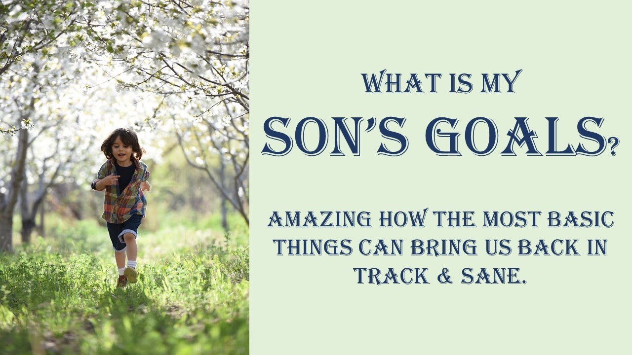 WHAT IS MY SON'S GOALS IN LIFE? HOW A 7 YEAR OLD BOY CAN GET YOU BACK ...