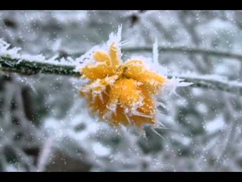 Paul Mauriat - Tombe La Neige