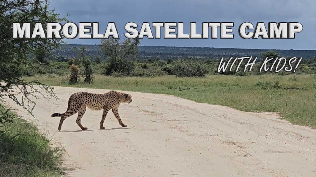 E5 - Maroela Camp with kids - YouTube