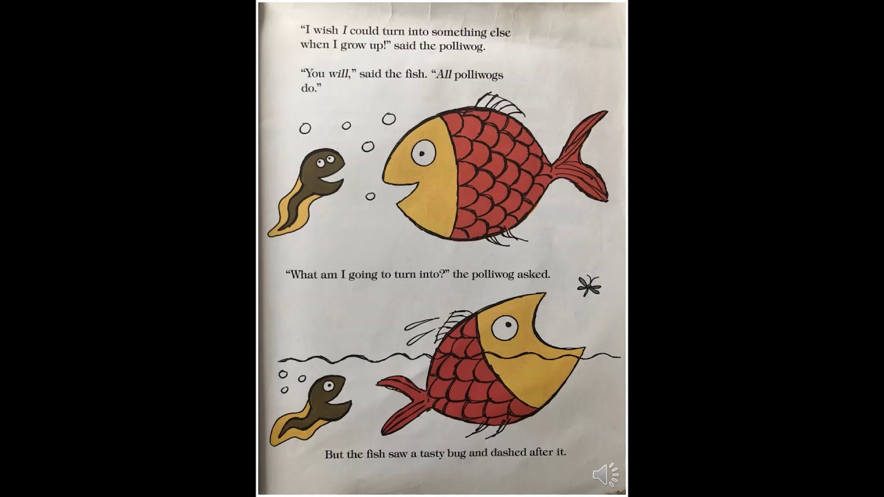 Read-Aloud: The Caterpillar and the Polliwog by Jack Kent - YouTube
