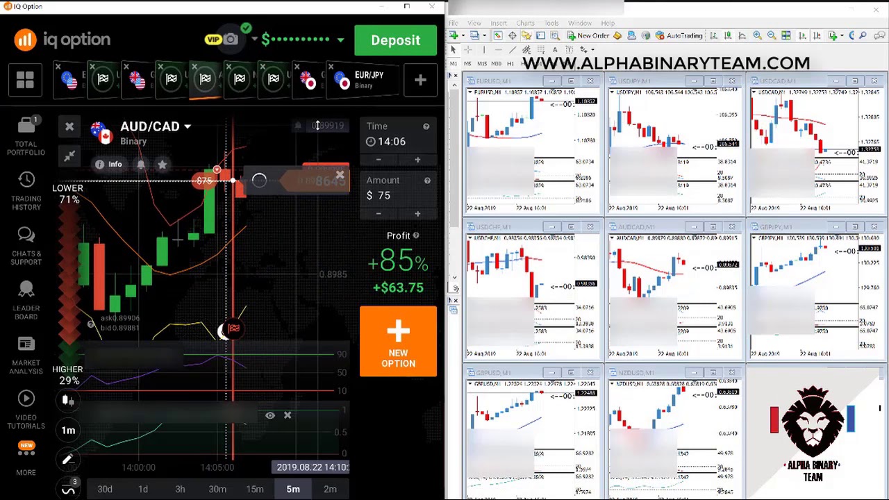 Alpha Binary Team IQ Option Live Tradings - YouTube