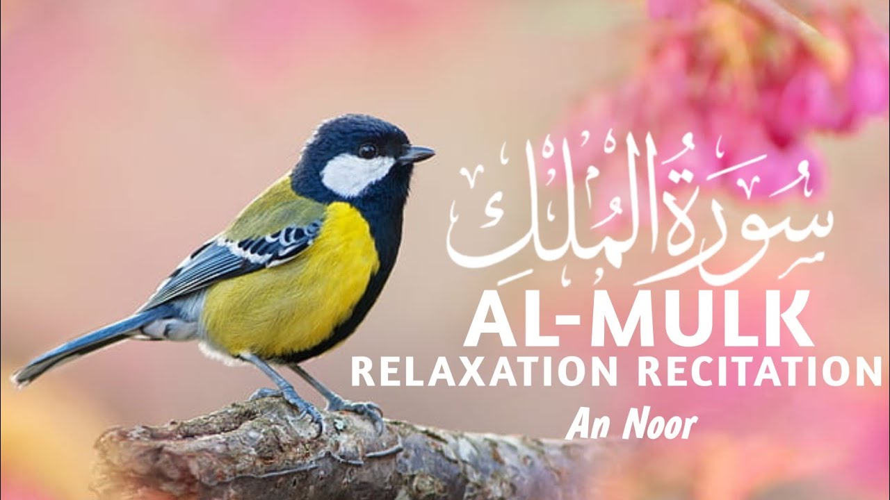 World's most beautiful recitation of Surah Mulk. 1.5 Hours background ...