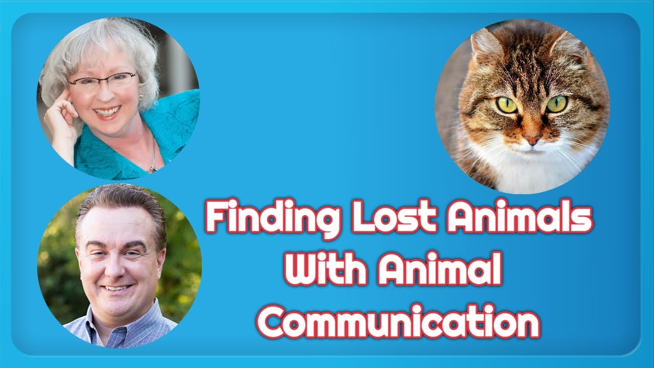 The art of finding lost and missing animals through animal ...